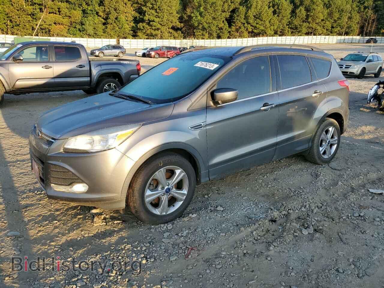 Report 1FMCU0GX2EUD22512 FORD ESCAPE 2014 GRAY GAS - price and damage ...